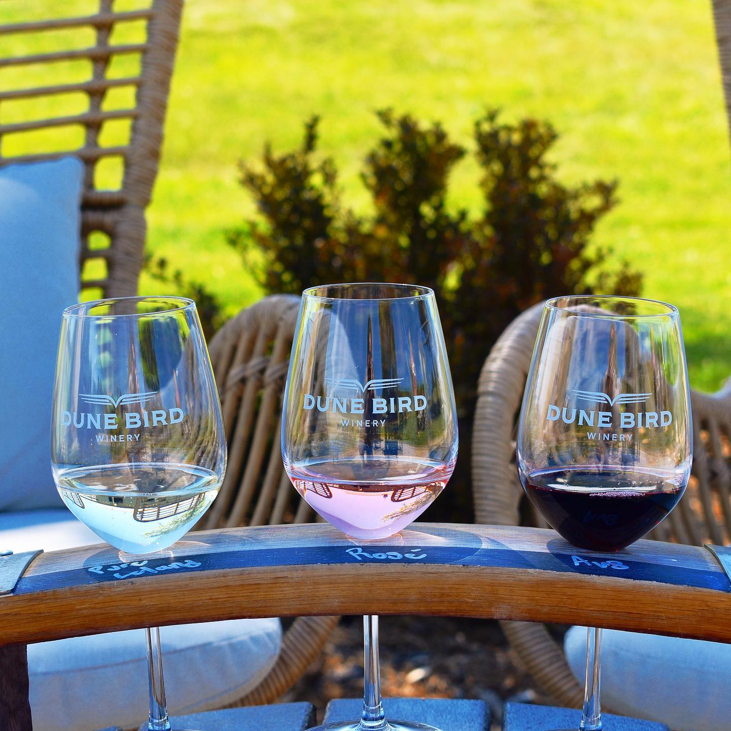 September in the Vines | Features | Northern Express