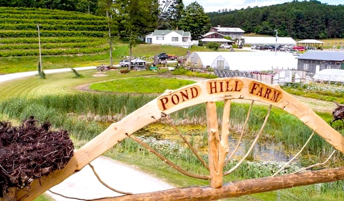 Pond Hill Turns 30! | Features | Northern Express