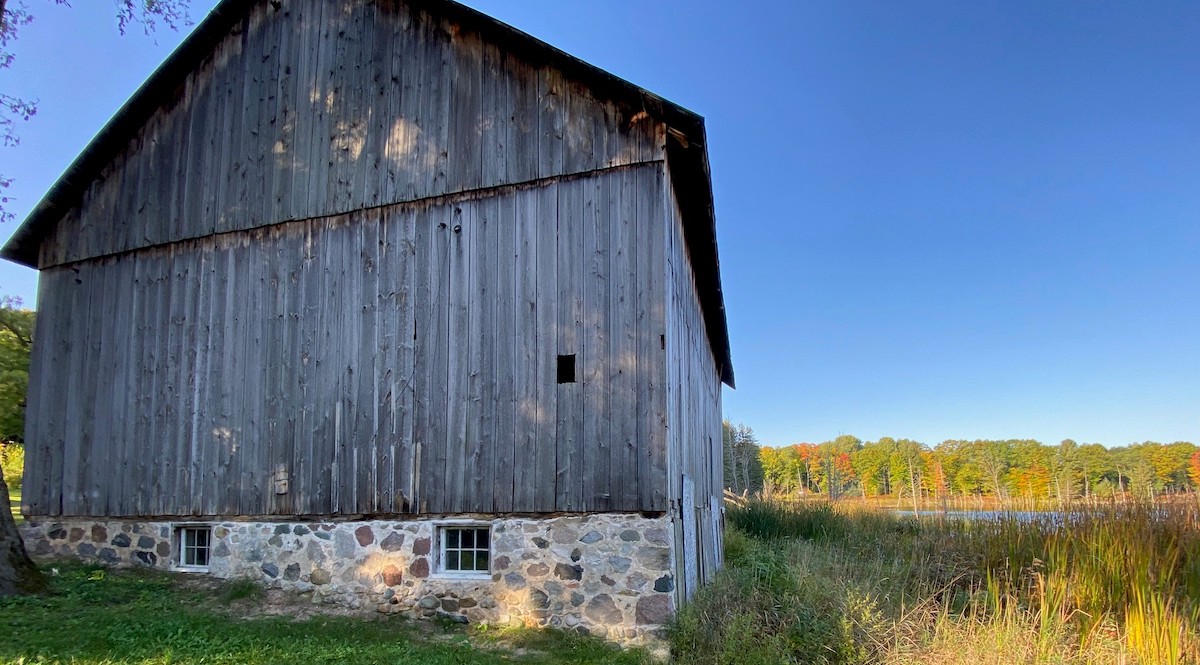 Those Dam Beavers! | Features | Northern Express