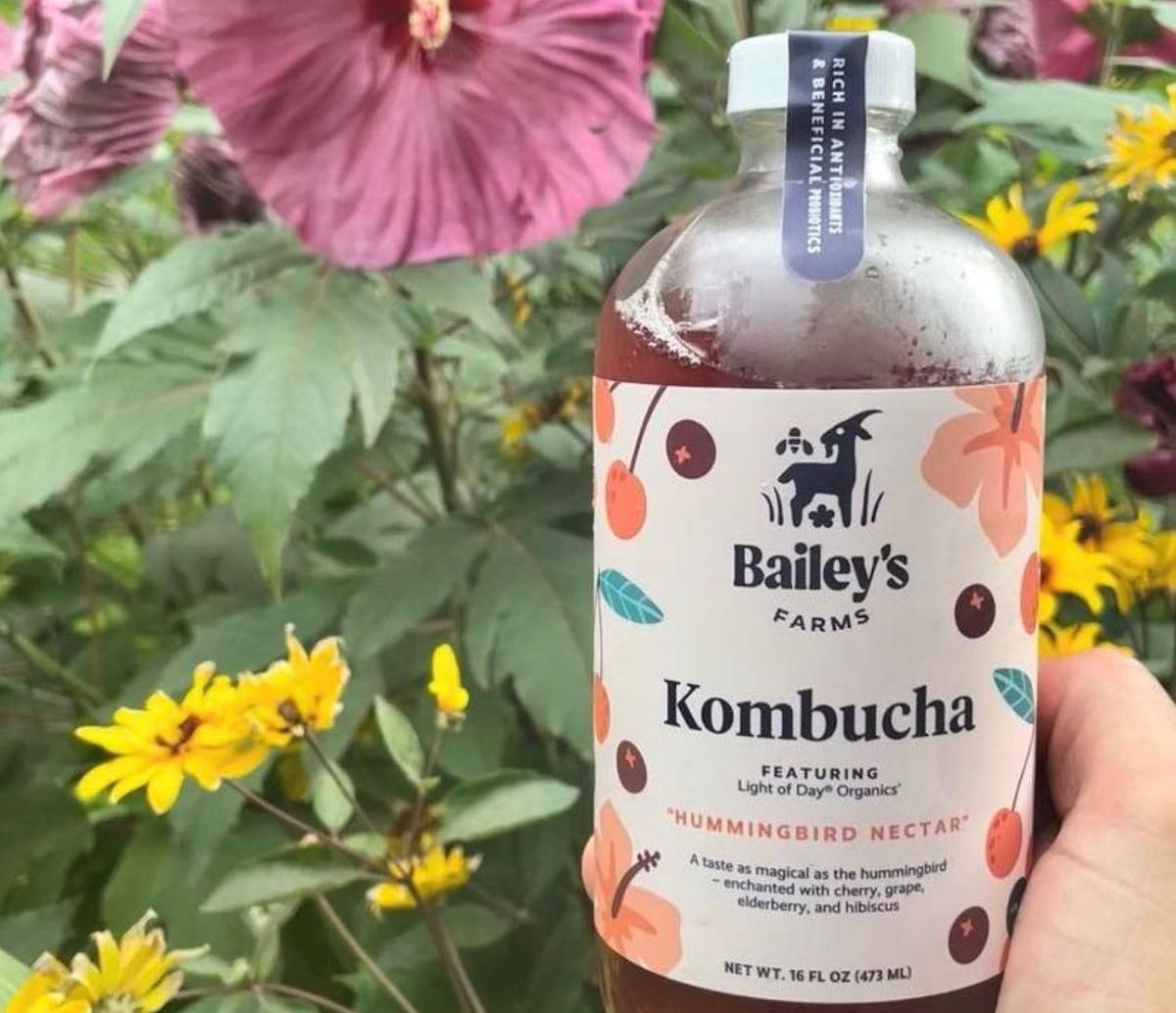 Bailey’s Farms’ Hummingbird Nectar Kombucha | Food | Northern Express