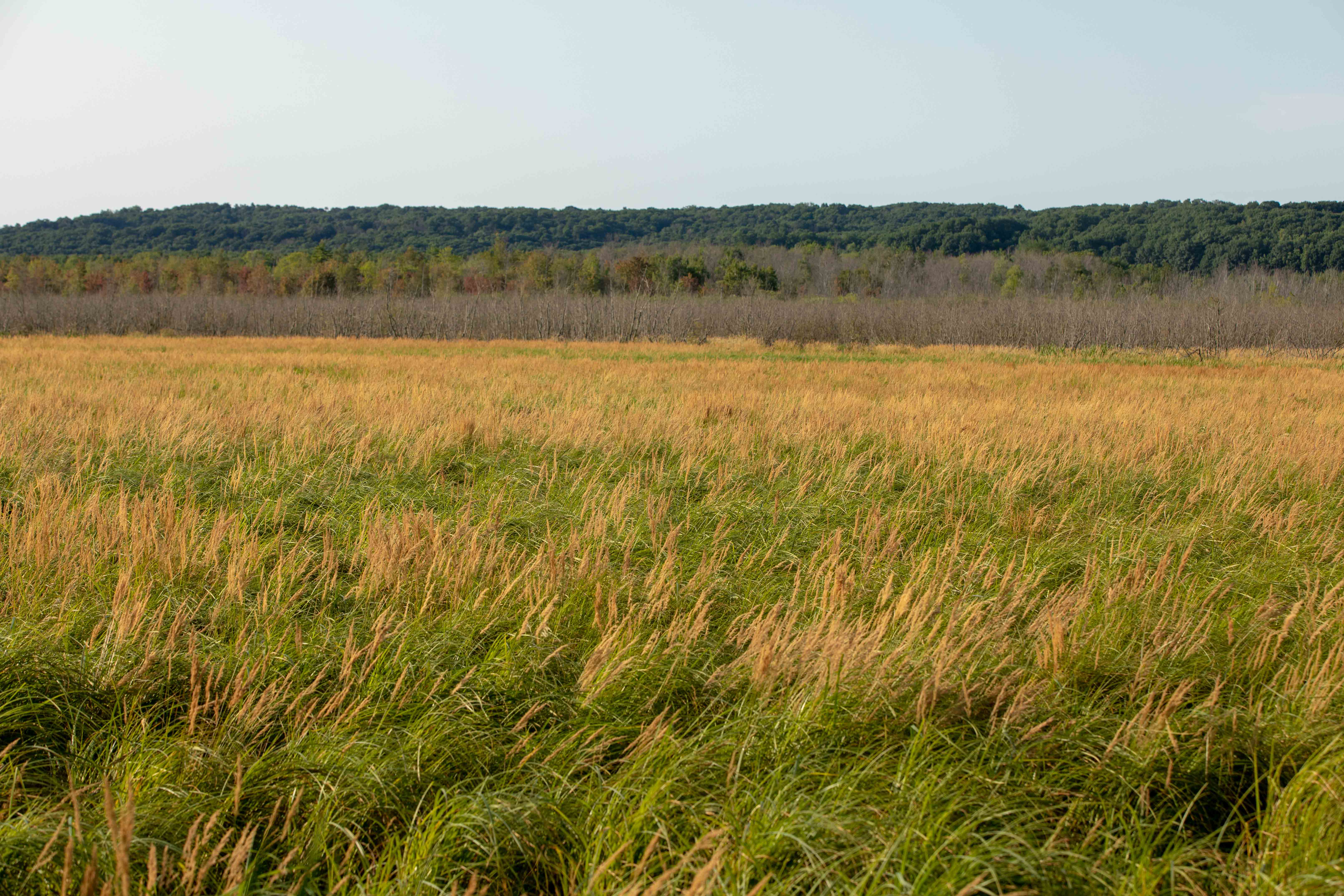 GET OUT: Awesome Outdoor Alternatives for (Extended) Spring Break ...