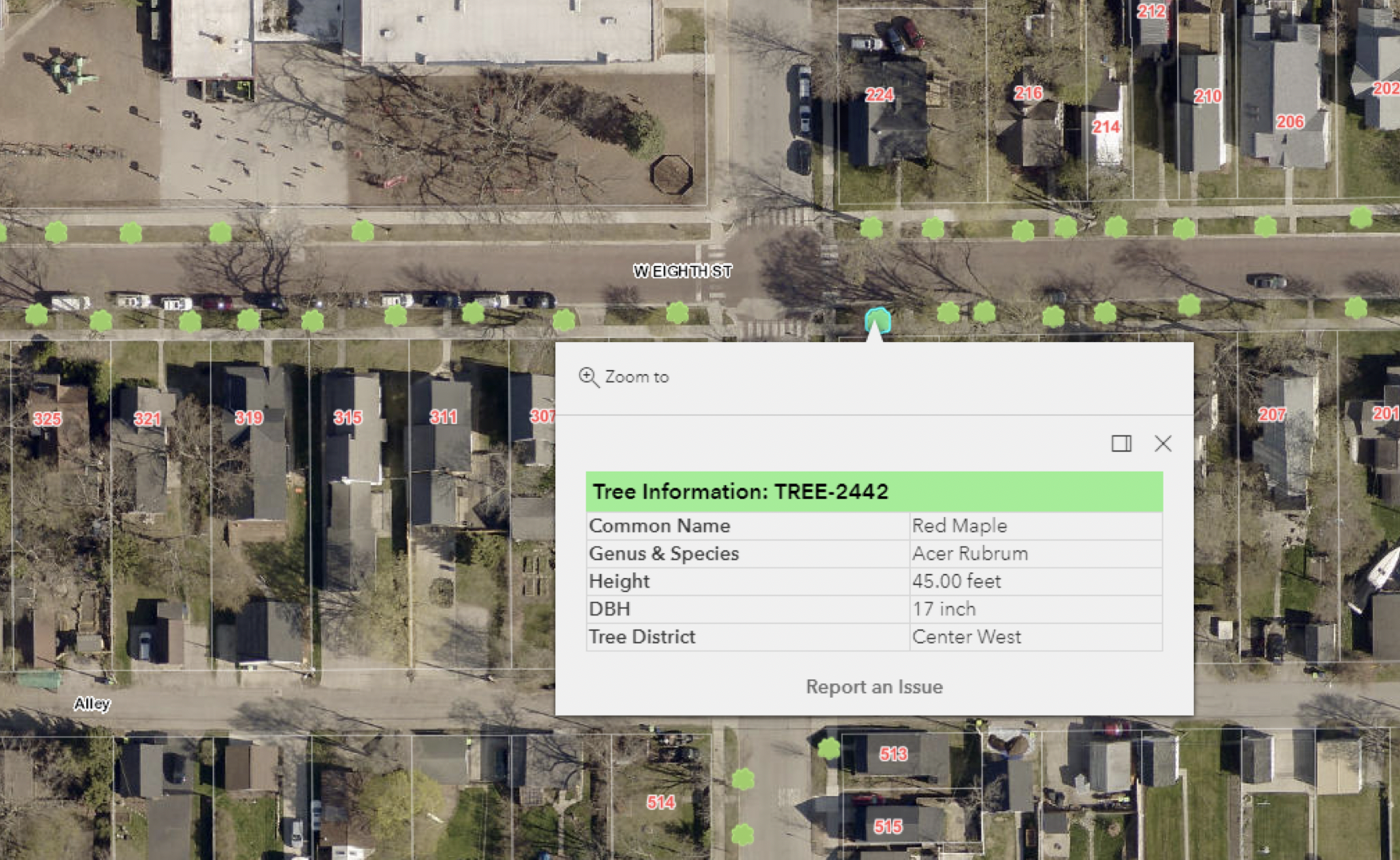 City Launches Interactive Tree Map | The Ticker