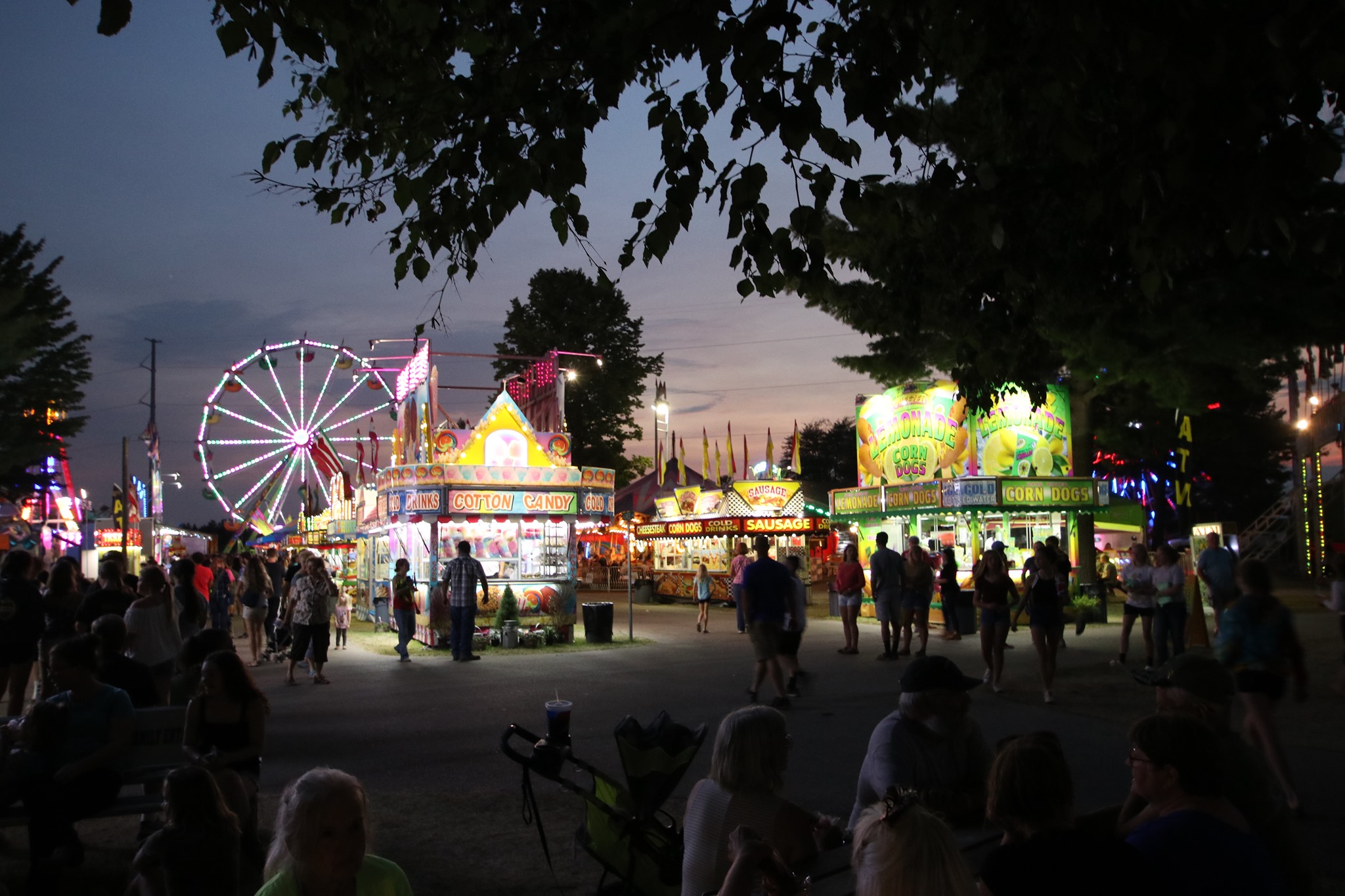 After A Year Of Quiet, The Pigs, Cotton Candy, and Blue Ribbons Of The ...