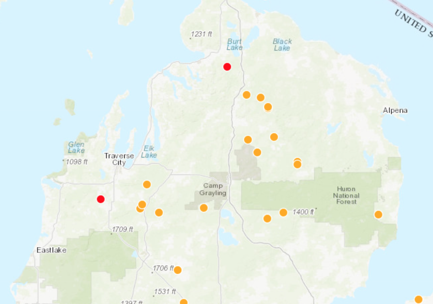 You might actually find a morel mushroom this year. | Features ...