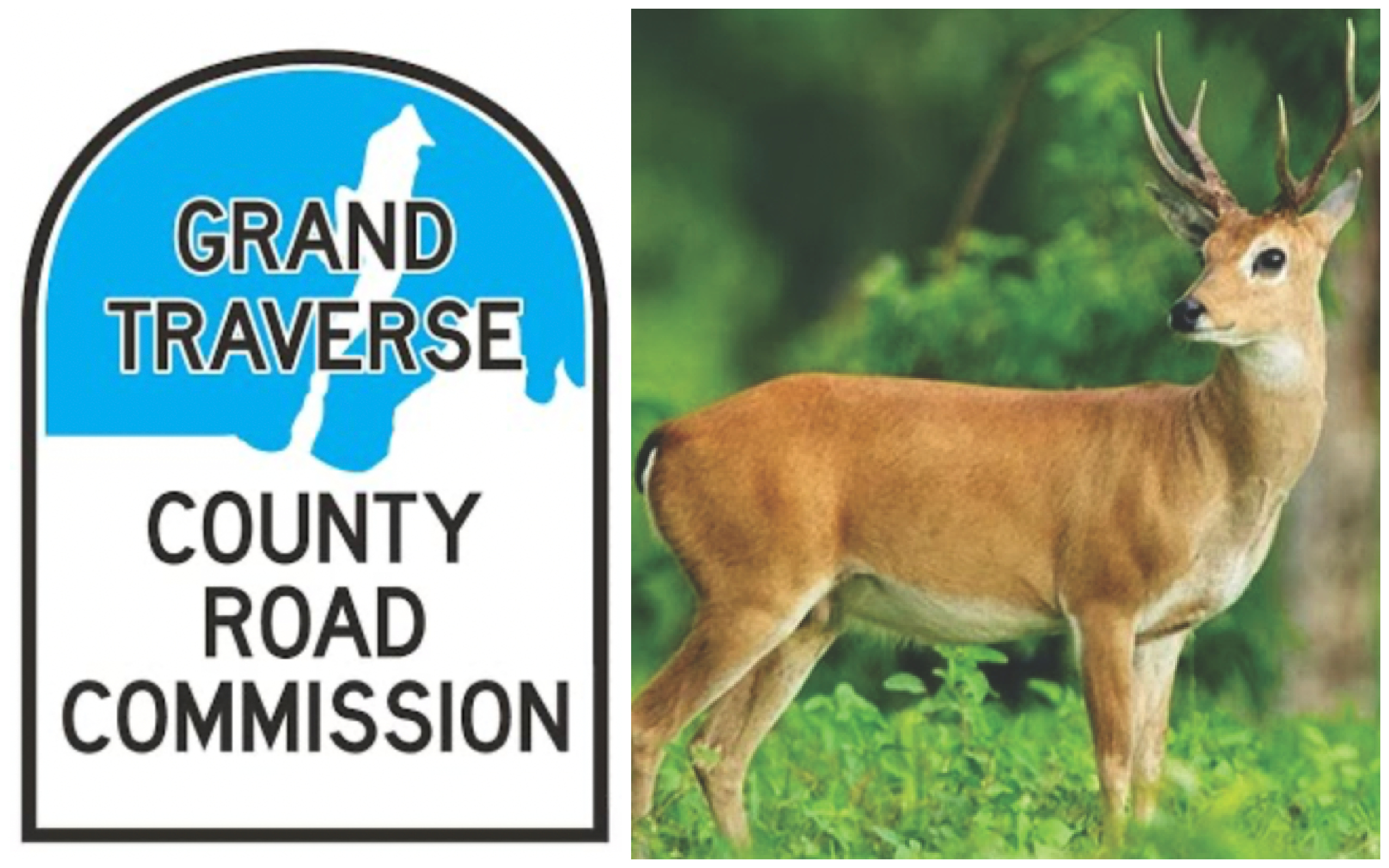 Road Commission Updates: Roadkill Clash, Bluff Road, Signal Upgrades ...