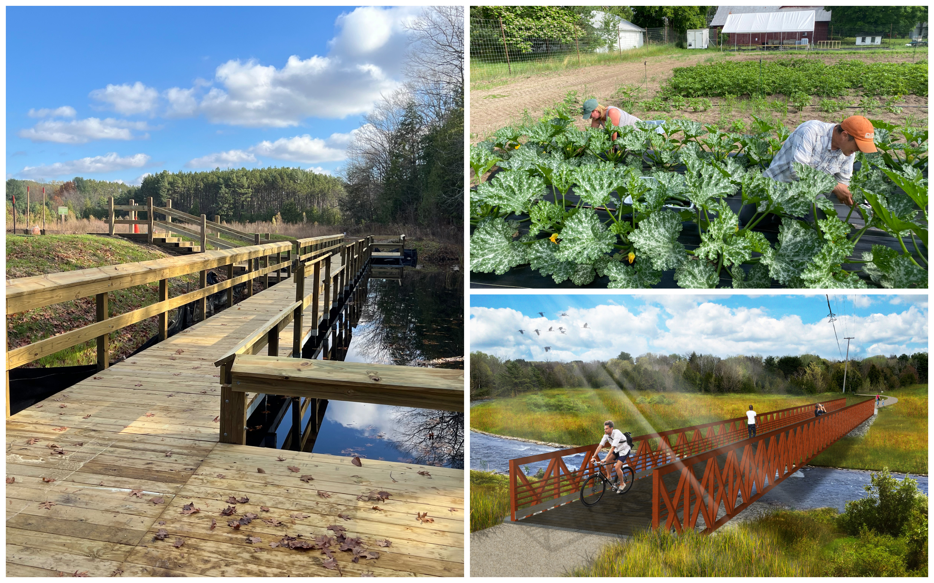 GT Conservation District’s Big Year: New Boardman Bridge, Incubator ...