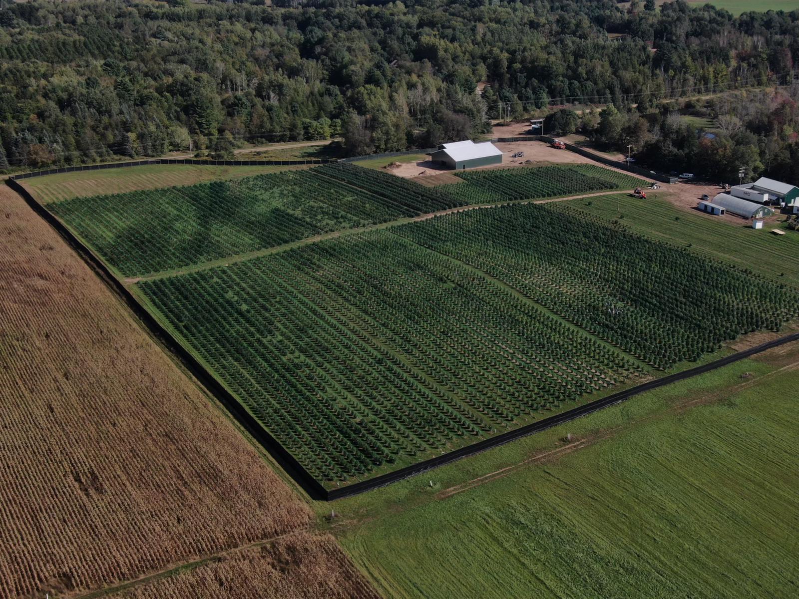 Grow Ops | Features | Northern Express