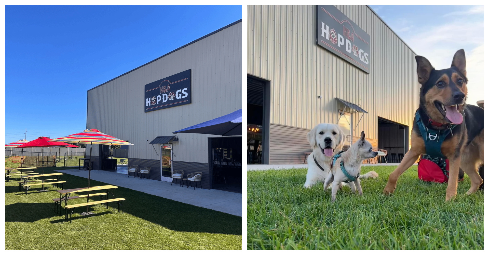 Join Us For Recess Wednesday at K&A Hop Dogs - And Bring Your Dog ...