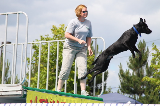 Air (Dog) Apparent | Features | Northern Express