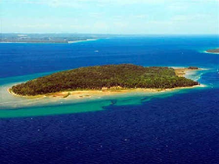 Power Island To Open For Deer Hunting | The Ticker