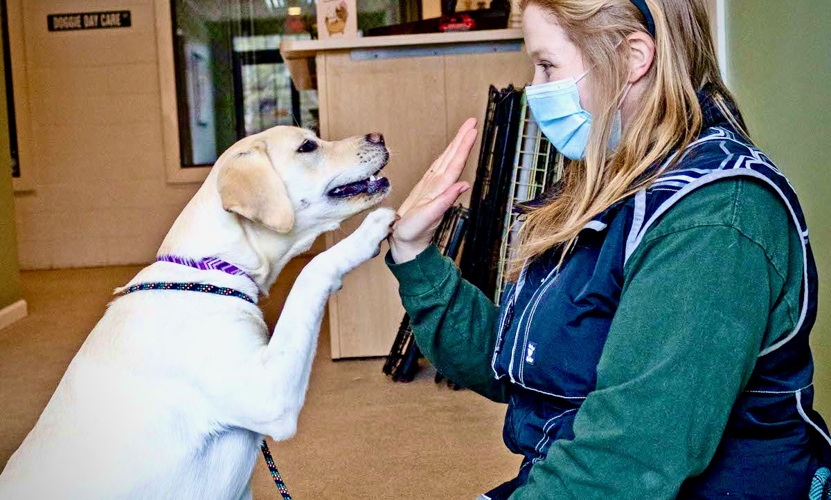 Hoping for Homes: Local humane societies share triumphs and challenges ...