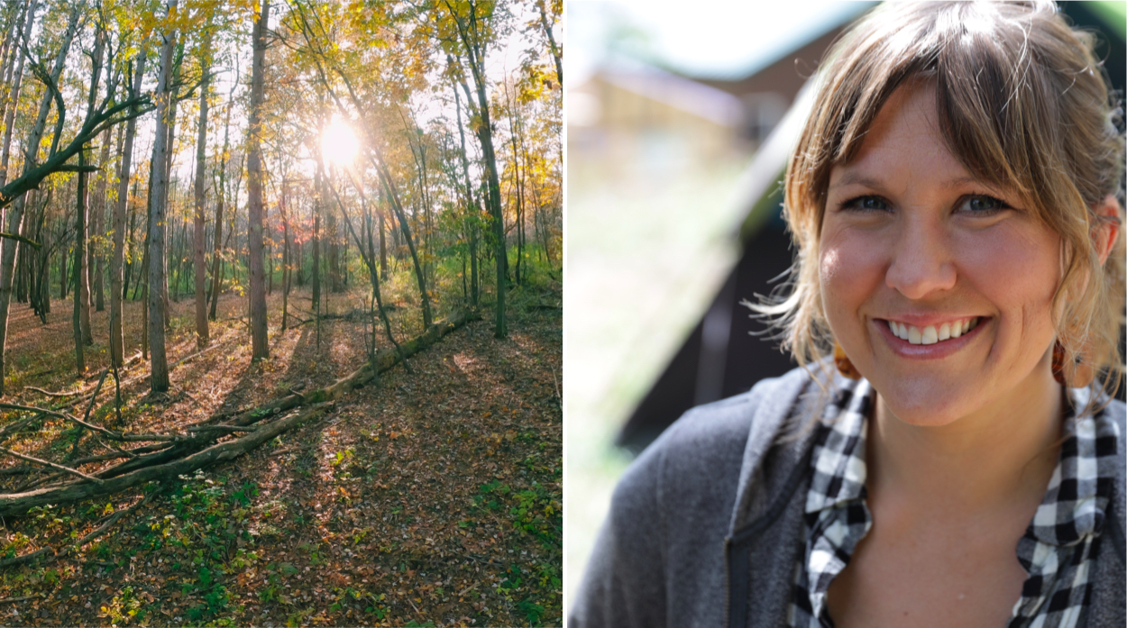 Startup Spotlight: “Beyond Forests” Would Preserve Woodlands And Change ...