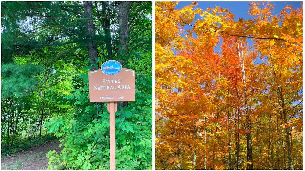 Suttons Bay's First Conservancy Natural Area Opens Today (And You Can ...