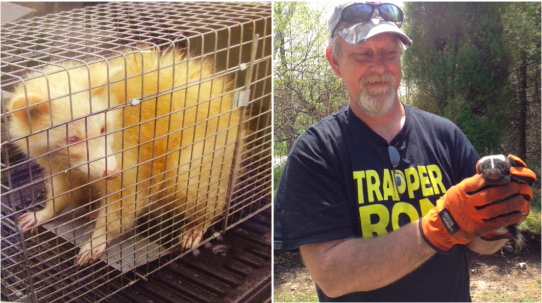 Personalities Of The Peninsula: Meet Trapper Ron, The Wild Man of ...