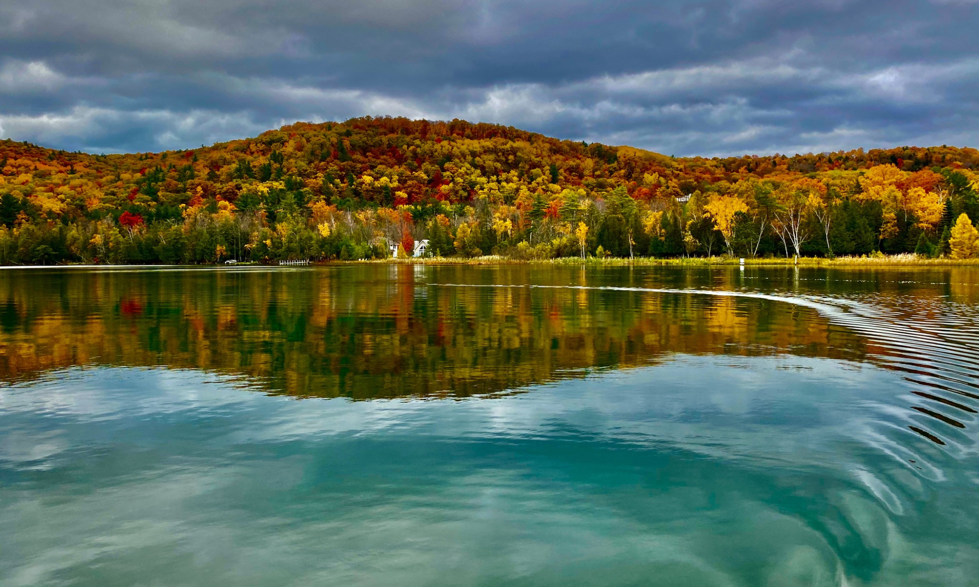 Why The Glen Lake Association Is Seeking Its First-Ever Executive ...