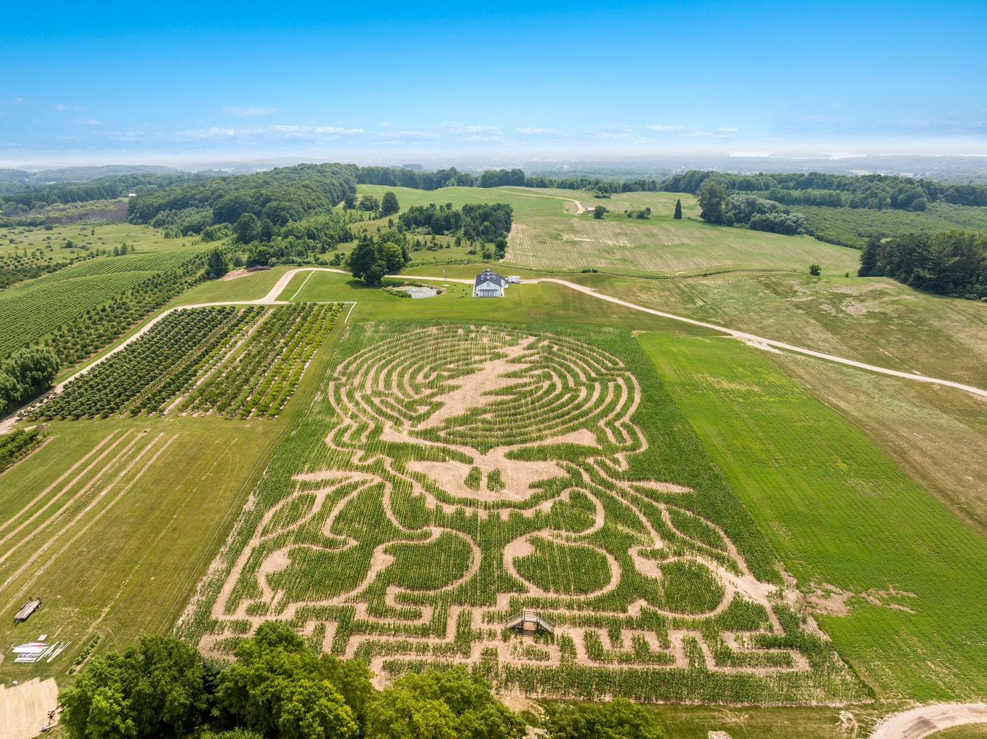 Jacob’s Farm Shares Sneak Peek Of Grateful Dead-Inspired Corn Maze ...
